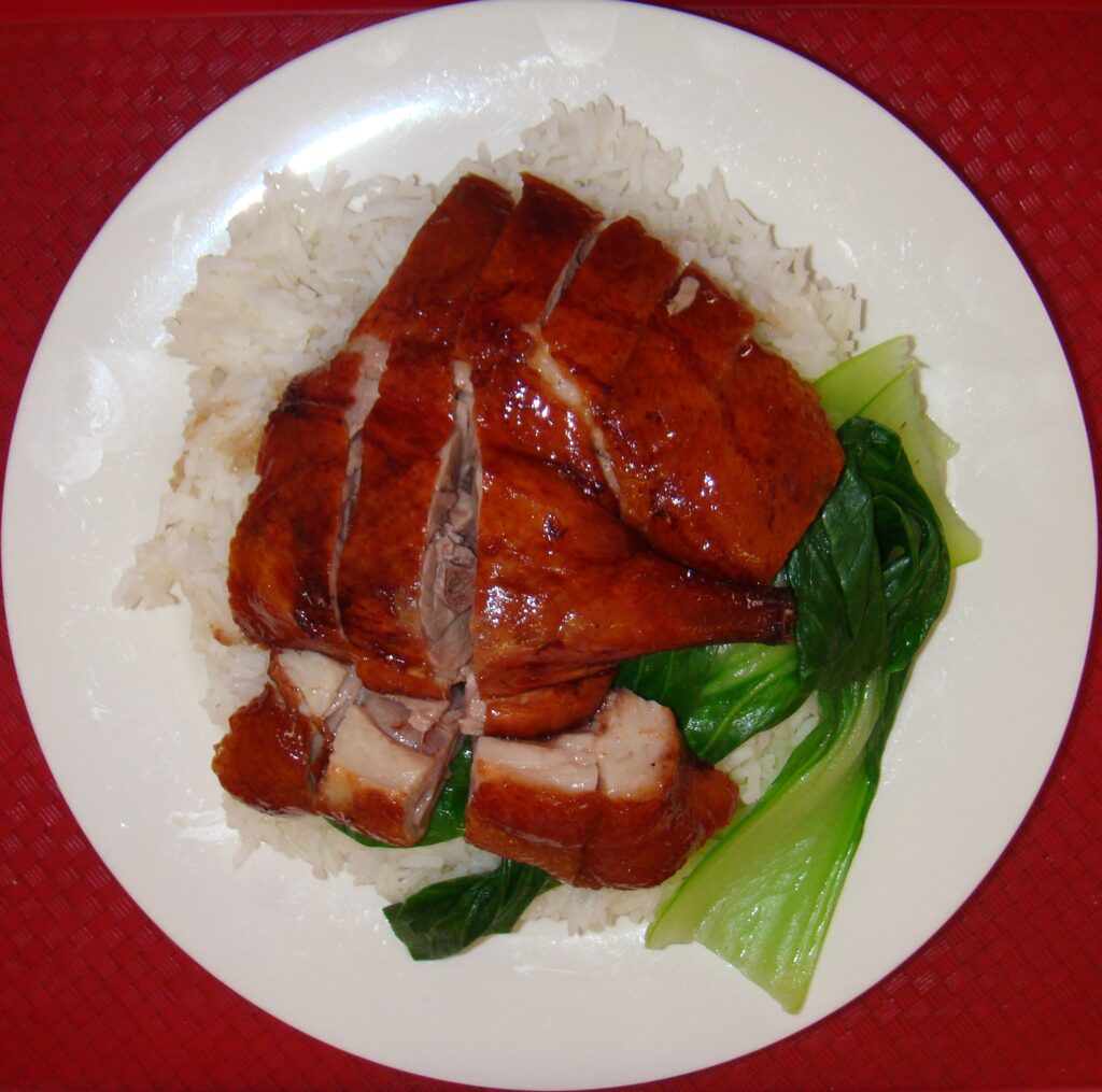Roast duck on rice - M+M Tea